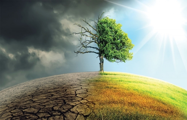 Acute challenge for world to tackle climate crisis at COP27