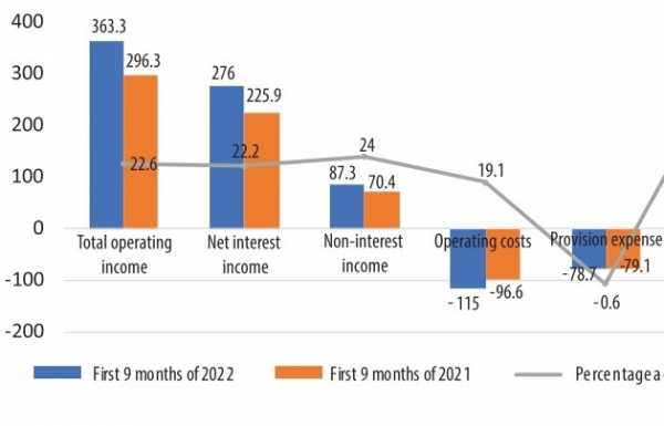 Debt obligations and fund access head banking issues