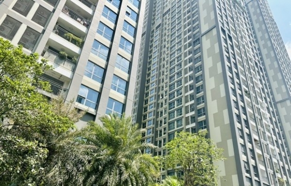 Real estate market needs credit solutions: experts