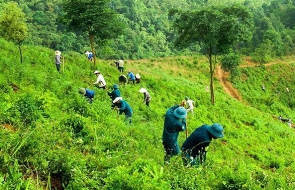 Project to develop multi-use values of forest ecosystem to 2030 approved