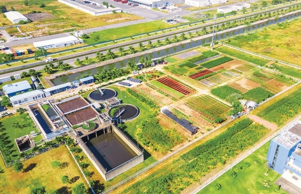 DEEP C implements large-scale eco-industrial park model