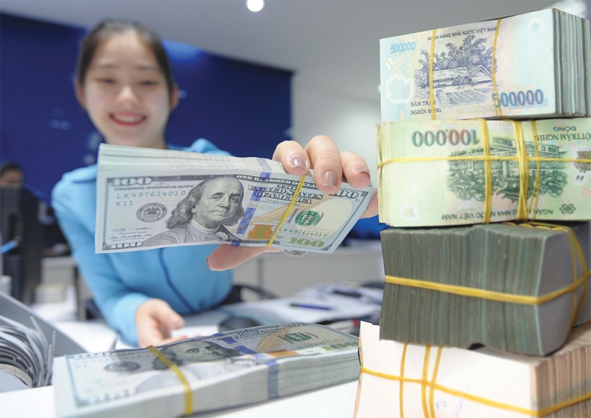 Calm exchange rate, persistent pressures