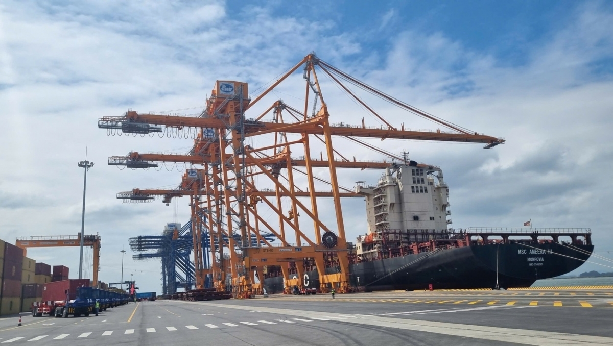 Seaport operators deliver strong earnings despite global turbulence