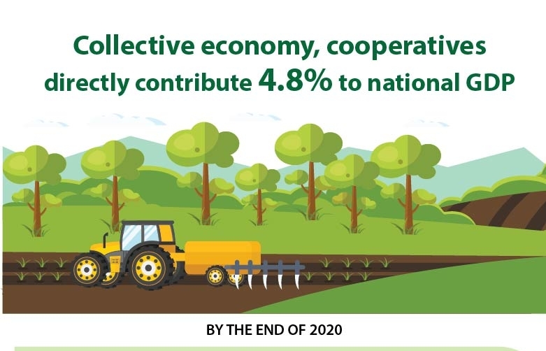Collective economy, cooperatives directly contribute 4.8pct to national ...