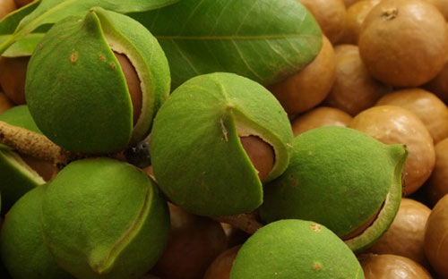 Queen of Nuts crowned