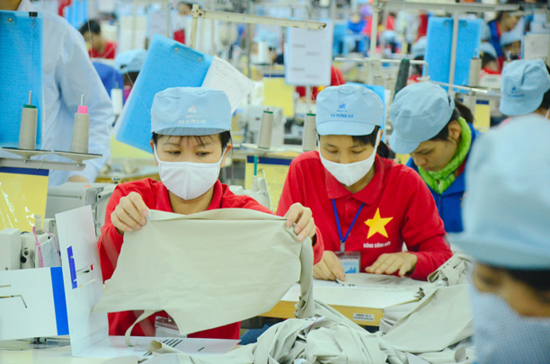 Garco 10 expects revenue growth despite unravelling TPP