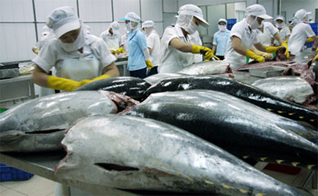 15 businesses certified “Dolphin Safe”