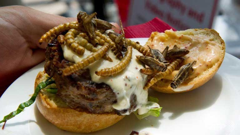 Adventures in dining: Scorpion lollipops, grasshopper burgers