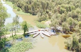 New REDD project is taking root