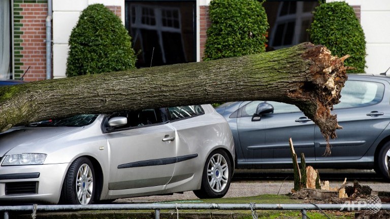 Storm-battered northern Europe take stock of the damage