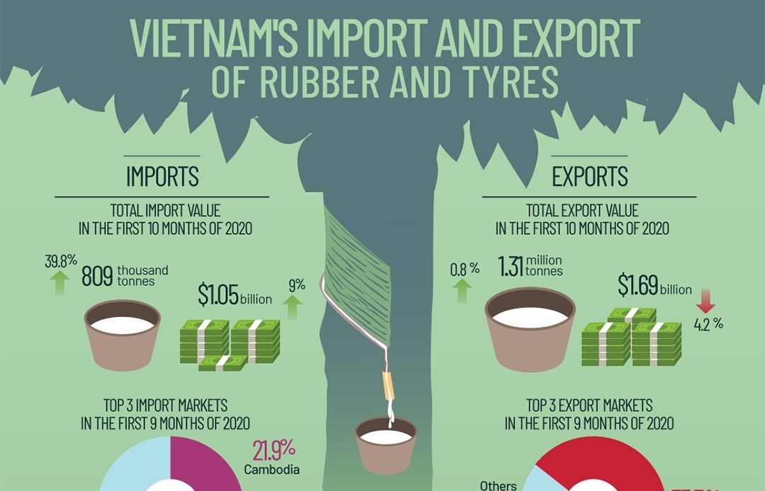 Vietnam"s import and export of rubber and tyres (Infographics)