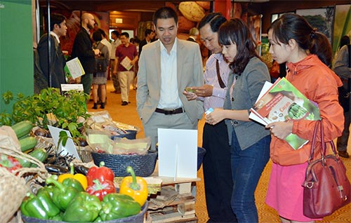 Denmark supports Vietnam’s private sector