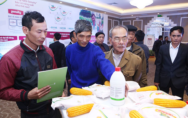 Monsanto subsidiary launches Genuity corn seeds in Vietnam